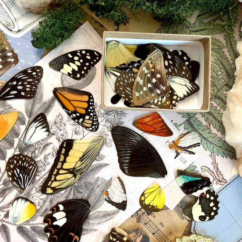 Fake Butterflies - Etsy