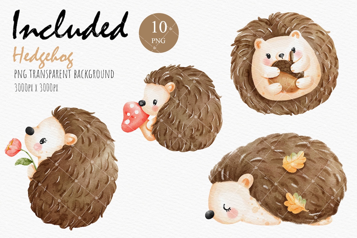 Hedgehogs Cliparts Autumn Hedgehogs Clipart Autumn Clipart - Etsy