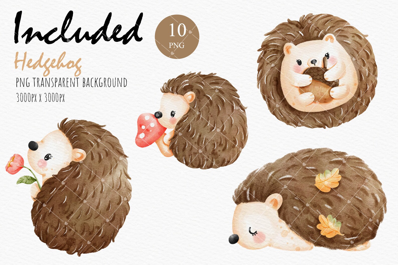 Hedgehogs Cliparts Autumn Hedgehogs Clipart Autumn Clipart - Etsy