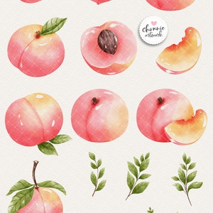 Peaches Watercolor Clipart Peaches Clipart Fruits Clipart - Etsy