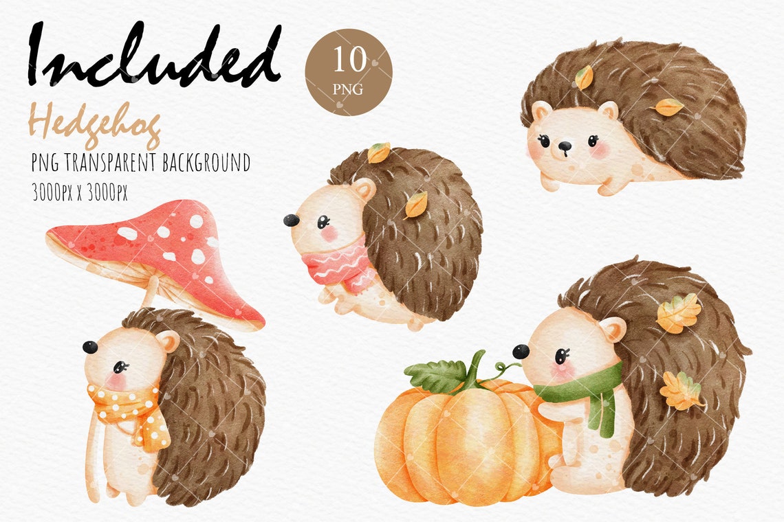 Hedgehogs Cliparts Autumn Hedgehogs Clipart Autumn Clipart - Etsy