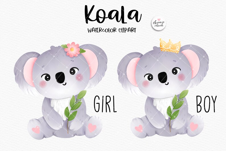 Baby Koala Clipart Watercolor Little Animals Clipart Baby - Etsy