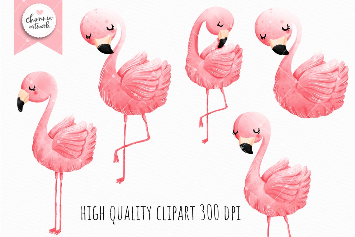 Flamingo Clipart Pink Tropical Flamingo Clipart Tropical - Etsy