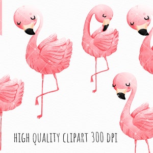 Flamingo Clipart, Pink Tropical Flamingo Clipart, Tropical Clipart ...