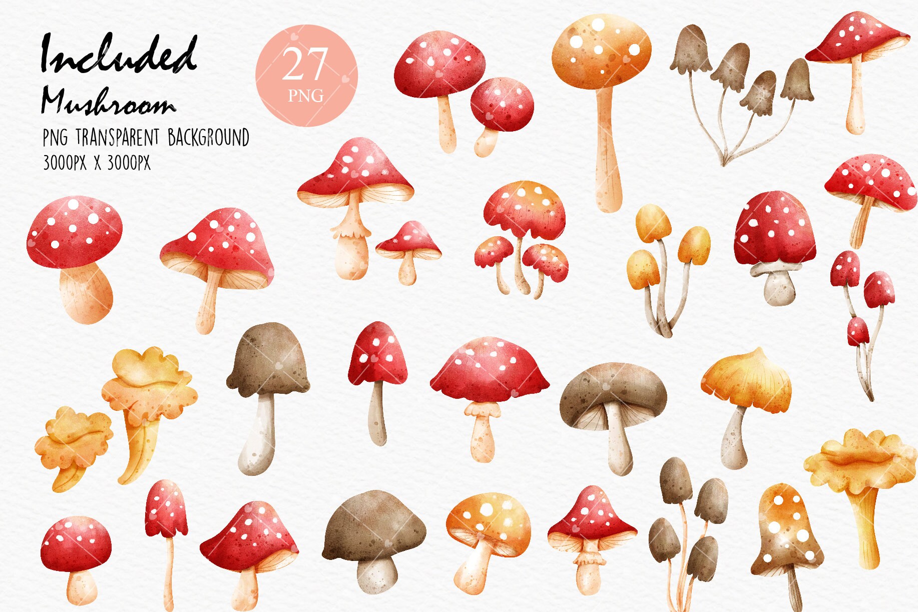 Watercolor Mushrooms Clipart Woodland Mushroom Clipart - Etsy
