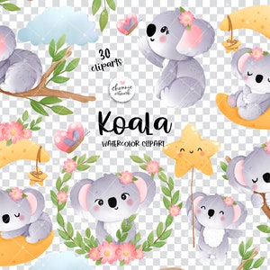 Baby Koala Clipart, Watercolor Little Animals Clipart, Baby Shower ...
