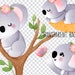 Baby Koala Clipart, Watercolor Little Animals Clipart, Baby Shower ...