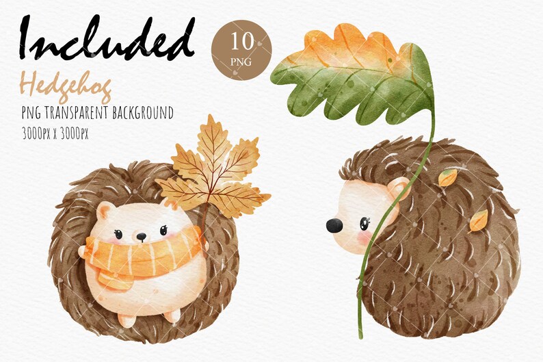 Hedgehogs Cliparts Autumn Hedgehogs Clipart Autumn Clipart - Etsy