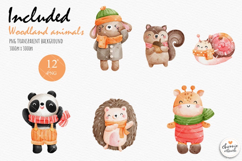 Autumn Woodland Animal Clipart Autumn Clipart Woodland - Etsy