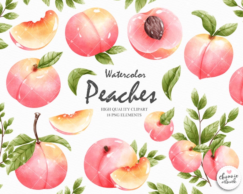 Peaches Watercolor Clipart Peaches Clipart Fruits Clipart - Etsy