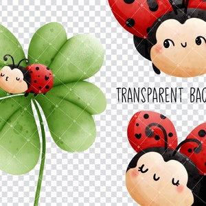 Ladybug Clipart, Cute Ladybug Png, Bug Clipart, Love Bug Clipart - Etsy