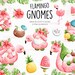 Gnome Flamingo Clipart Summer Gnome Clipart Tropical Gnomes - Etsy