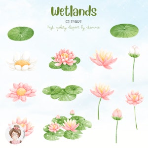 Watercolor Wetlands Clipart, Ciute Swamp Clipart, Cute Frog Clipart ...