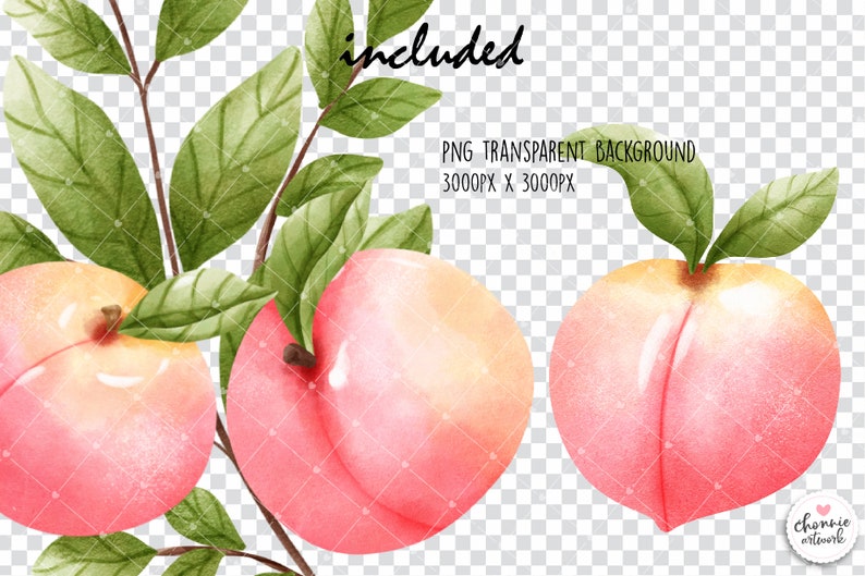 Peaches Watercolor Clipart Peaches Clipart Fruits Clipart - Etsy