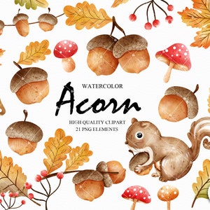Acorn Clipart, Autumn Leaves Clipart, Fall Leaves Clipart, Autumn ...