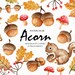 Acorn Clipart, Autumn Leaves Clipart, Fall Leaves Clipart, Autumn ...
