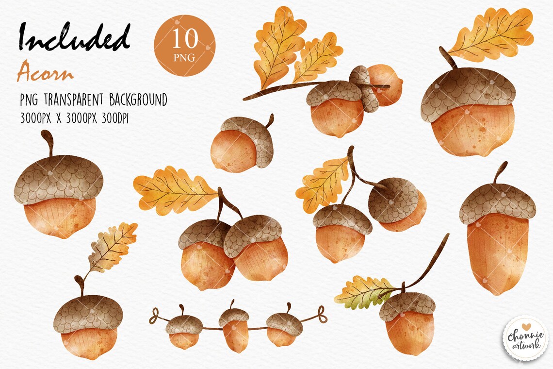 Acorn Clipart Autumn Leaves Clipart Fall Leaves Clipart - Etsy