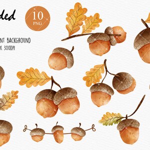 Acorn Clipart, Autumn Leaves Clipart, Fall Leaves Clipart, Autumn ...