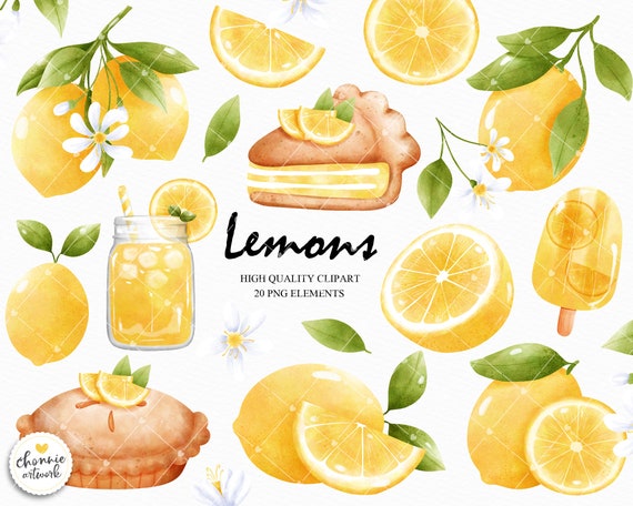 Watercolor Lemons Clipart Summer Fruit Clipart Fruit - Etsy
