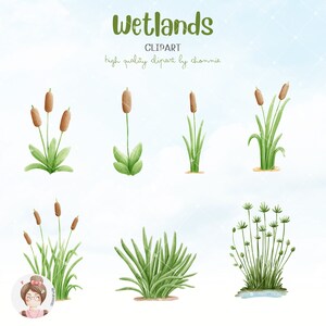 Watercolor Wetlands Clipart, Ciute Swamp Clipart, Cute Frog Clipart ...