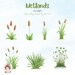 Watercolor Wetlands Clipart, Ciute Swamp Clipart, Cute Frog Clipart ...
