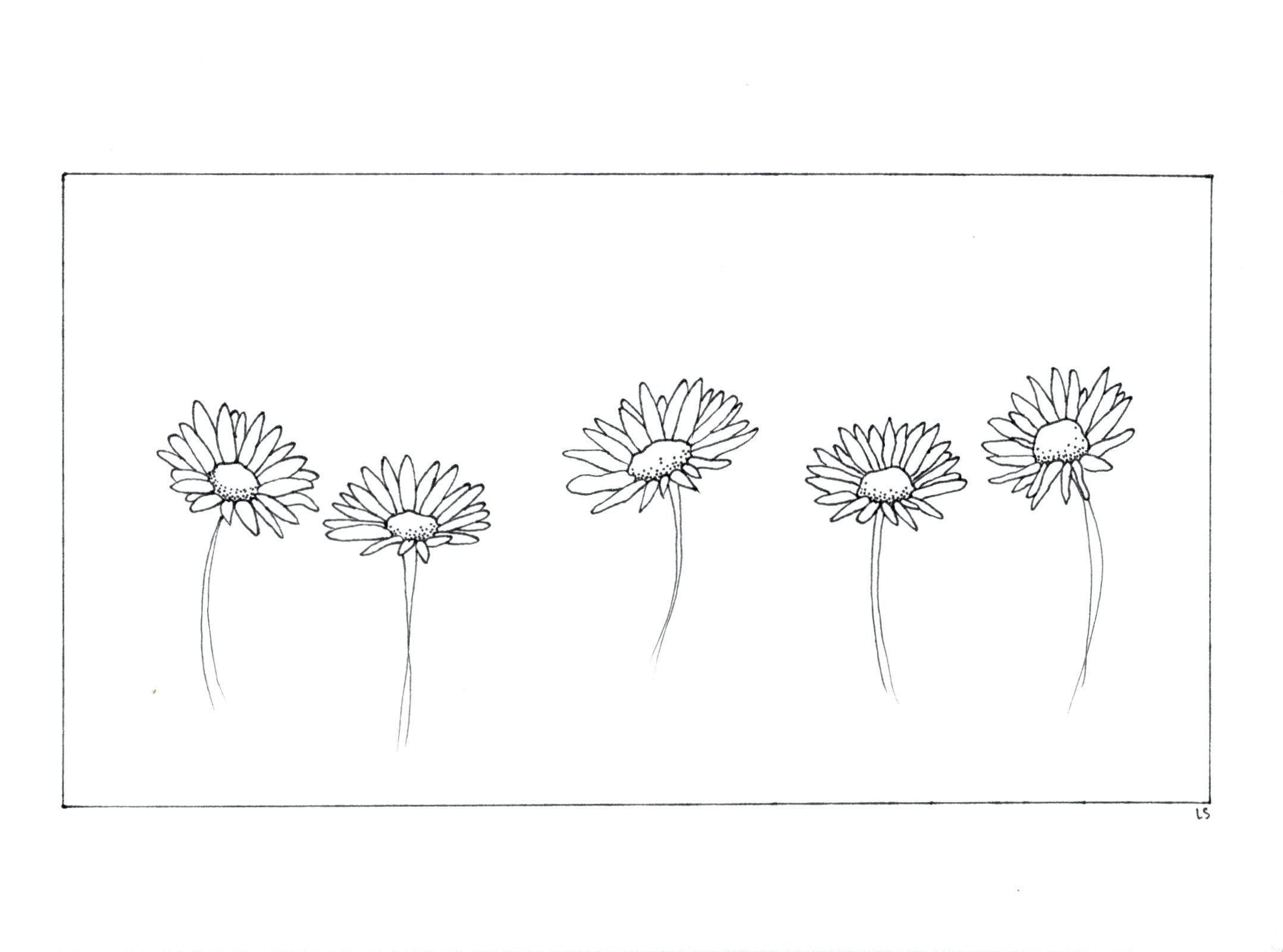 Daisy Chain A4 Art Print Black & White Illustration Lou | Etsy