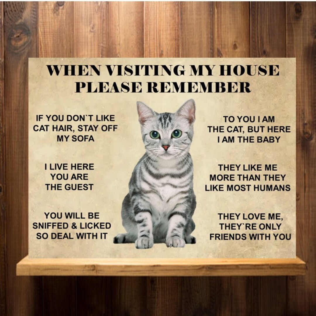 Funny Silver Grey Tabby Cat Wall Sign House Rules Cat Lovers Gift - Etsy UK