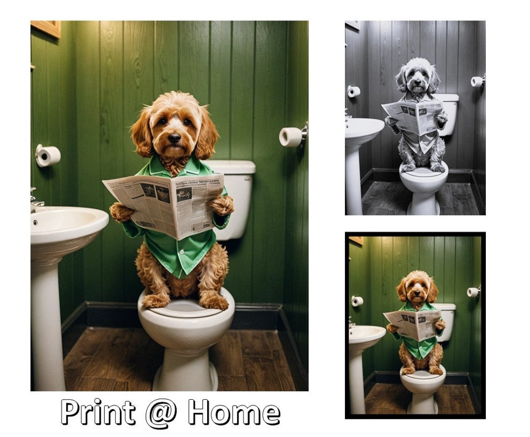 Funny Cockapoo Sat on the Toilet Reading the Newspaper Wall Art Instant ...