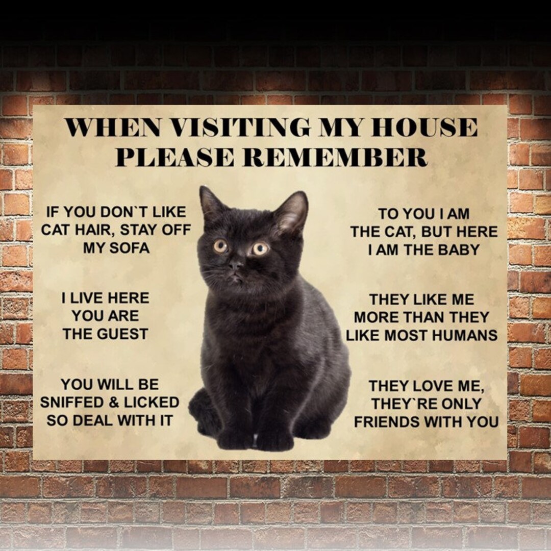Funny Black Cat Wall Sign House Rules Cat Lovers Gift - Etsy