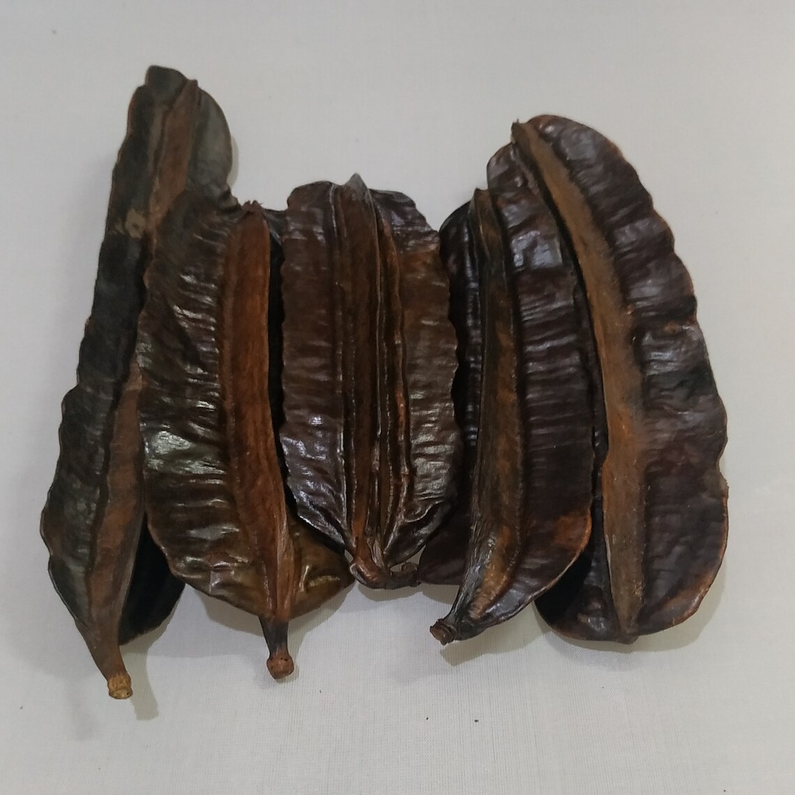 Prekese (6/10 Pods) - Uhio - Aidan Fruit - Tetrapleura Tetraptera - Etsy