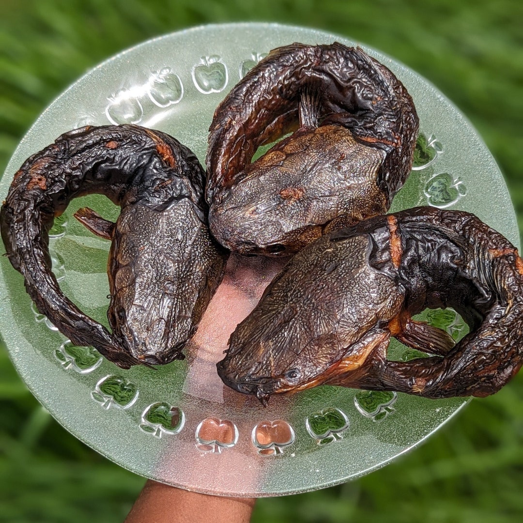 Catfish - Dried Catfish - Organic Catfish - 1kg - Etsy