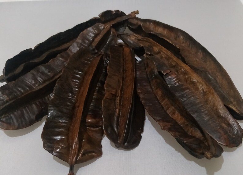 Prekese (6/10 Pods) - Uhio - Aidan Fruit - Tetrapleura Tetraptera - Etsy