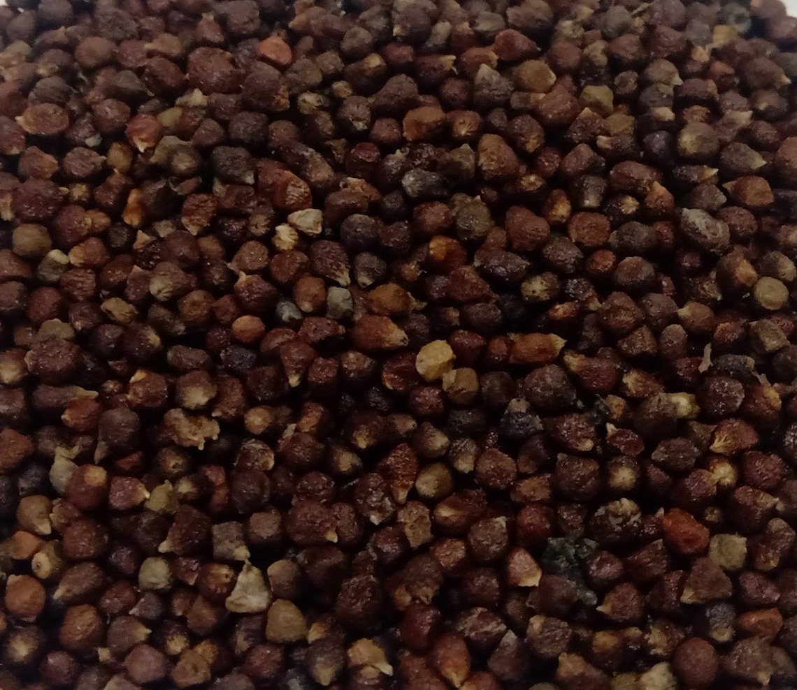 Piment alligator 2/4 oz Piment de Guinée Épice Mbongo - Etsy Canada