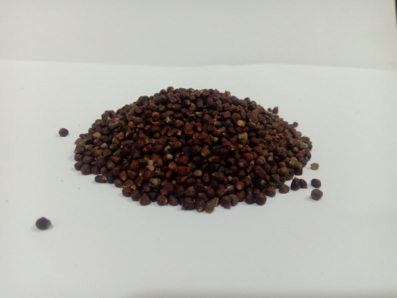 Alligator Pepper (2/4oz) - Guinea Pepper - Mbongo Spice - Hepper Pepper ...