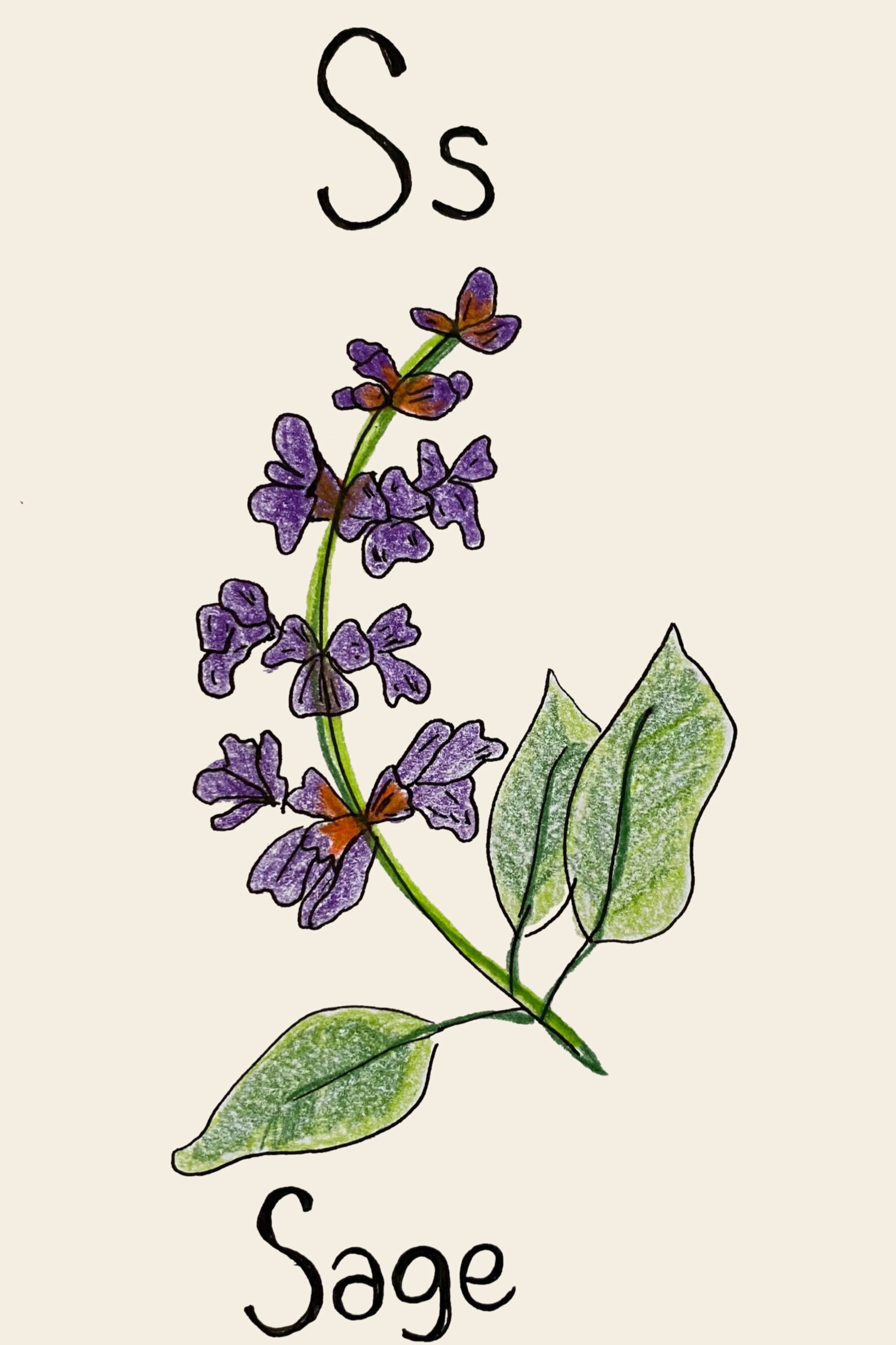 Botanic Alphabet Cards - Etsy