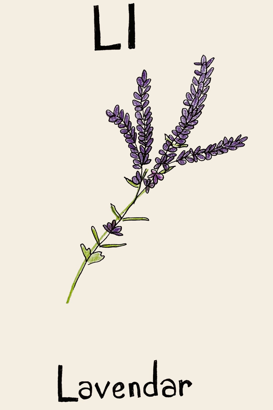 Botanic Alphabet Cards - Etsy