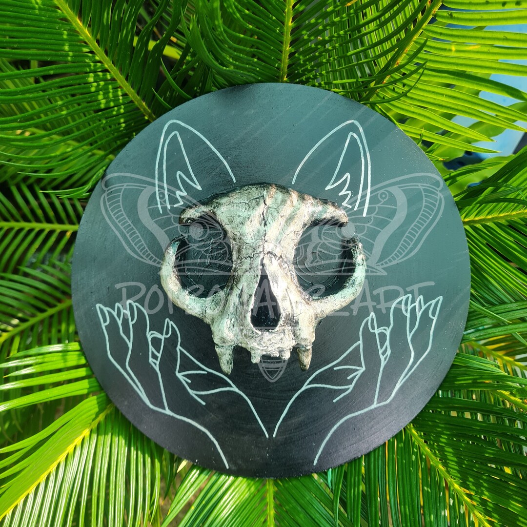 FAUX Cat Skull Wall Art, Handmade Original Sculpture Skull Cat Nature ...