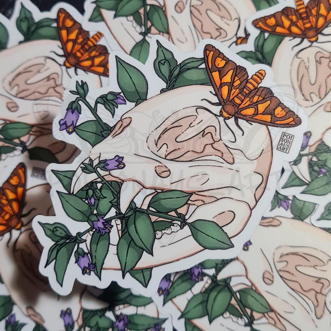 Vampire Bat Skull Vinyl Sticker, Art Skull Bone Floral Flowers Bat ...