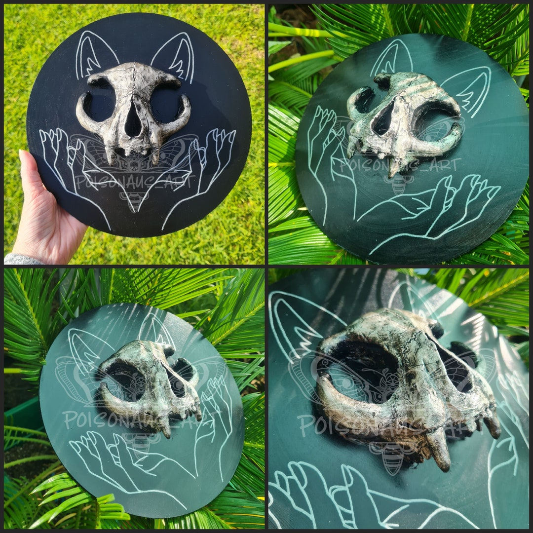 FAUX Cat Skull Wall Art, Handmade Original Sculpture Skull Cat Nature ...