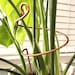 Copper Wide Curl Plant Stake, Base Trellis, Plant Support Stake, Boho ...