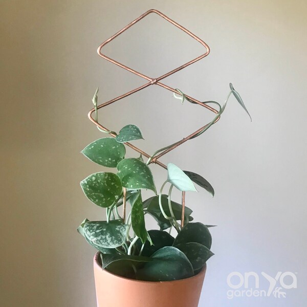 Geometric Trellis - Etsy