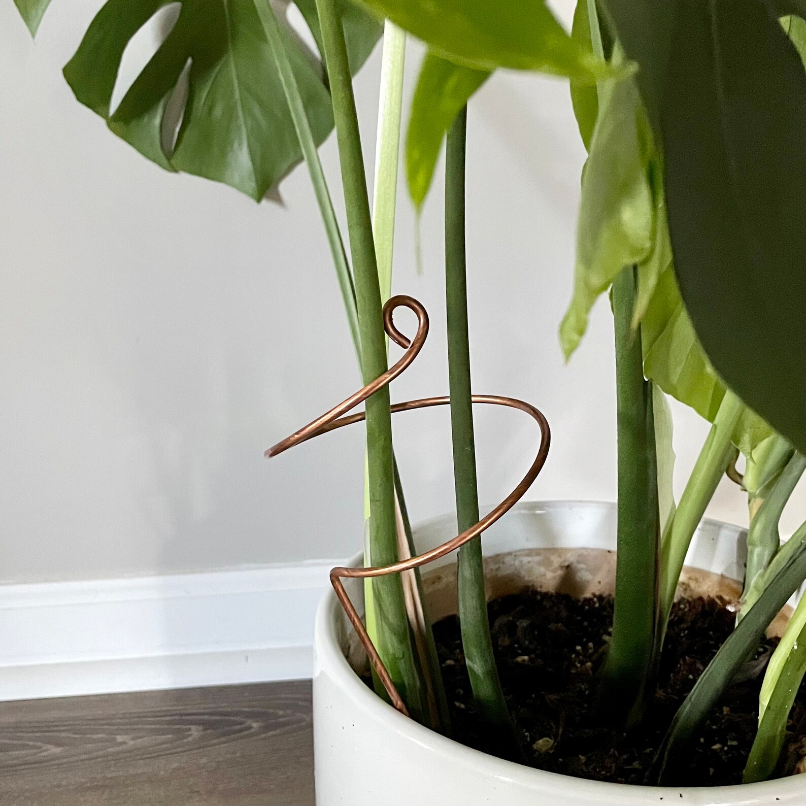 Copper Wide Curl Plant Stake, Base Trellis, Plant Support Stake, Boho ...