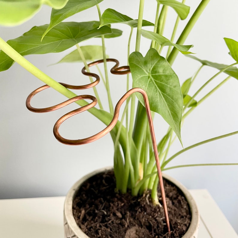 Decorative Copper Plant Stick Modern Plant Stake Plant Stem - Etsy