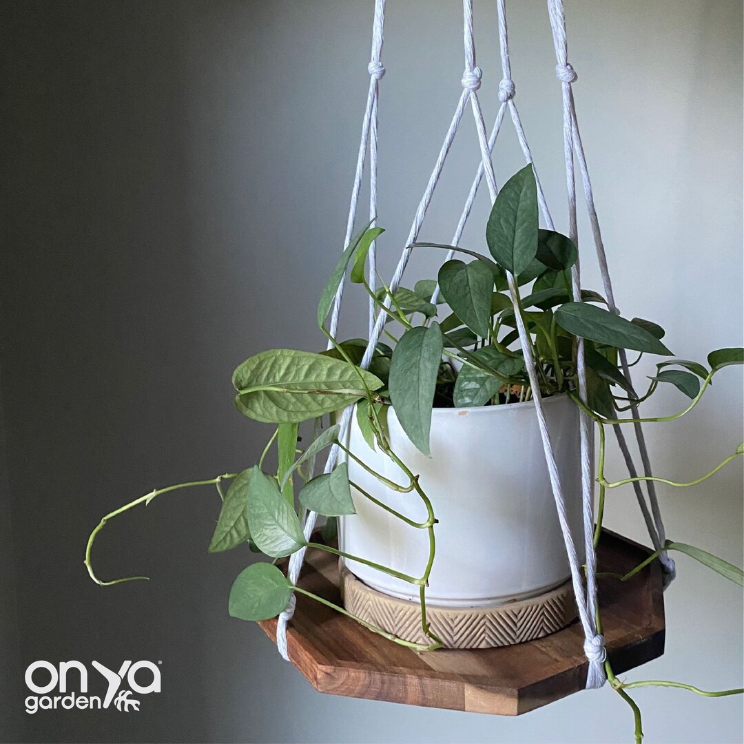 Modern Octagon Plant Hanging Shelf, Simple Minimalist Plant Holder, No ...