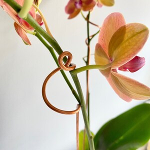 Copper Plant Stakes, Choose From All Options, Unique Plant Stick ...