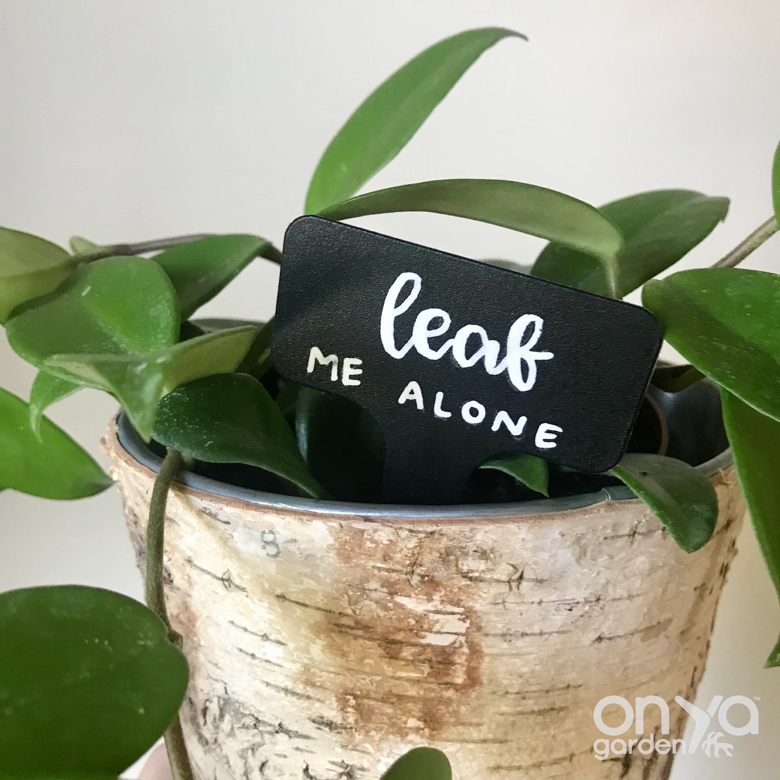 Funny Plant Tags Hand Lettered Funny Plant Labels Plant - Etsy