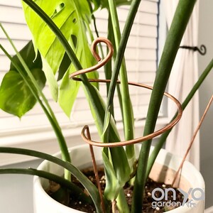 Copper Wide Curl Plant Stake, Base Trellis, Plant Support Stake, Boho ...