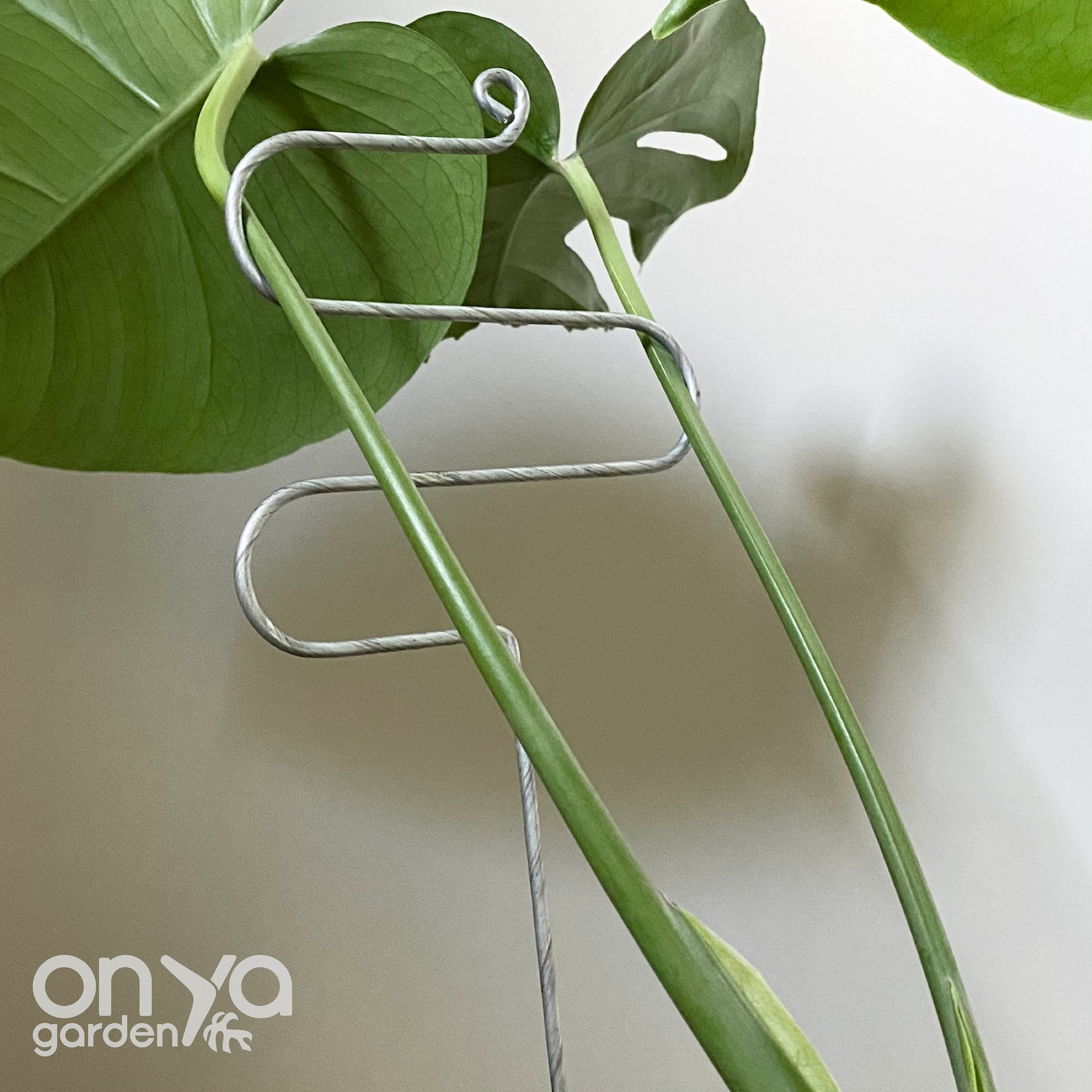 Steel Large Plant Stick, Tall Plant Stakes, Metal Plant Supports, Large ...