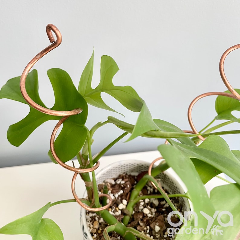 Copper Spiral Plant Sticks, Spiral Plant Stem Supporters, Metal Plant ...