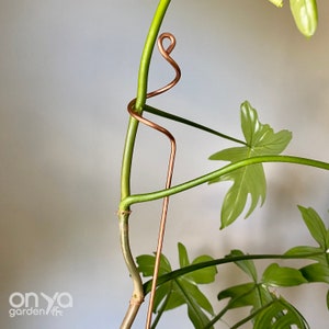 Extra Large Copper Plant Sticks, 6 Design Options, 24 Long Plant Stake ...